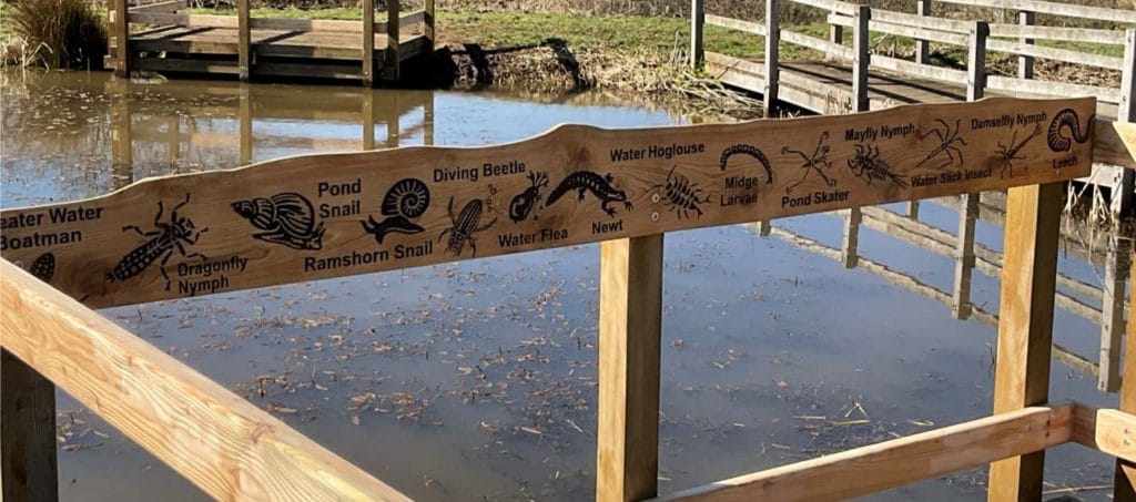 Pond Dipping Platforms – Greenspace Designs Ltd